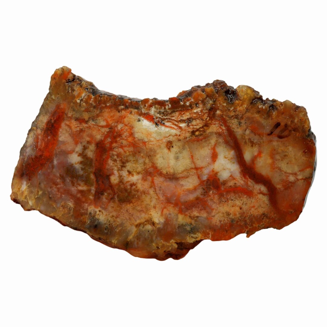 Coprolite Slab - Creamy Pattern With Blood Red Streaks - Etsy