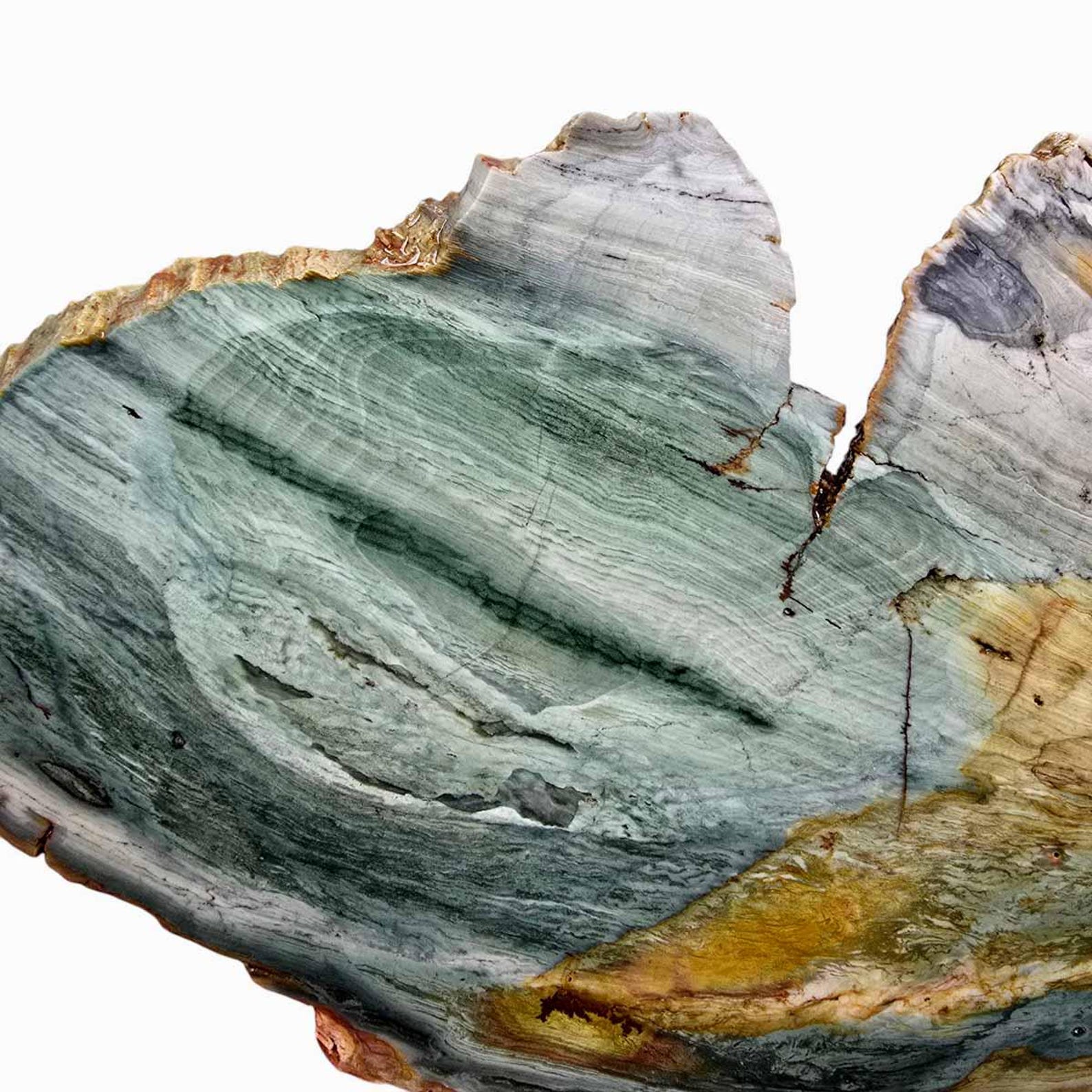 Ellipso Gary Green Larsonite Freedom Jasper Slab Lapidary Stone Slice ...