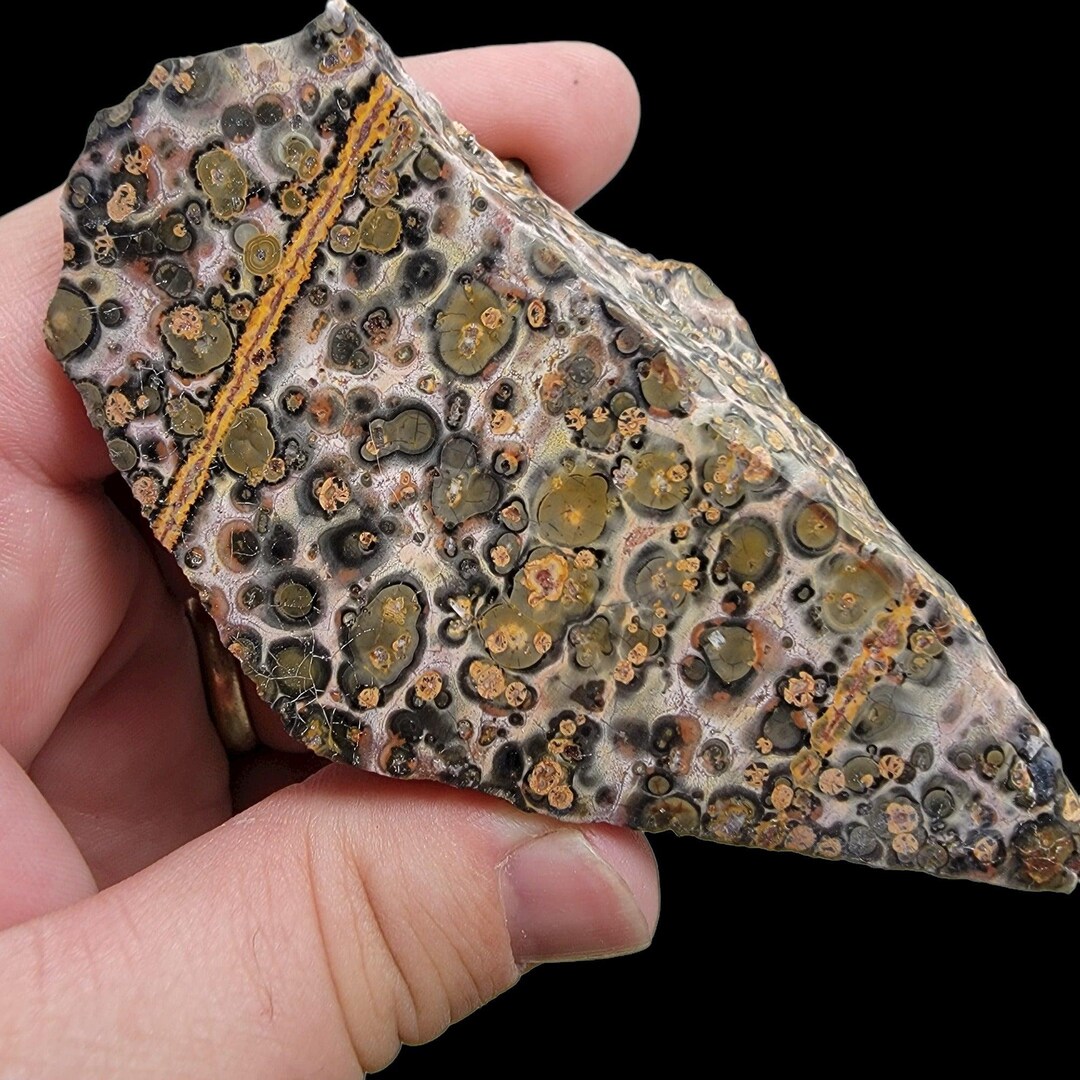 Polished Leopard Skin Rhyolite Display Specimen - Etsy