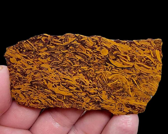 Fossil Script Stone Slab! Lapidary Stone Slab! - Etsy