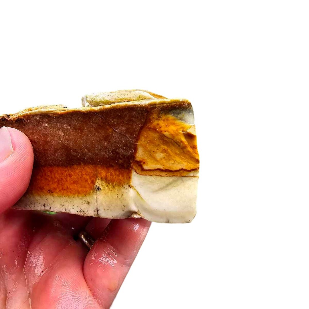 Chicken Track Picture Jasper Rough Chunk! - Etsy