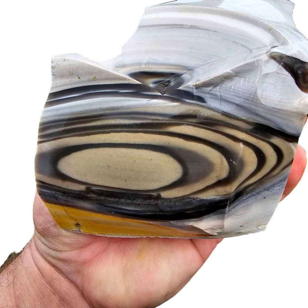 RARE Polish Flint Orbicular Rough Chunk! - Etsy