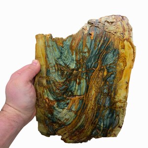 Gary Green Larsonite Freedom Jasper Slab Lapidary Stone Slice Cut Rock ...