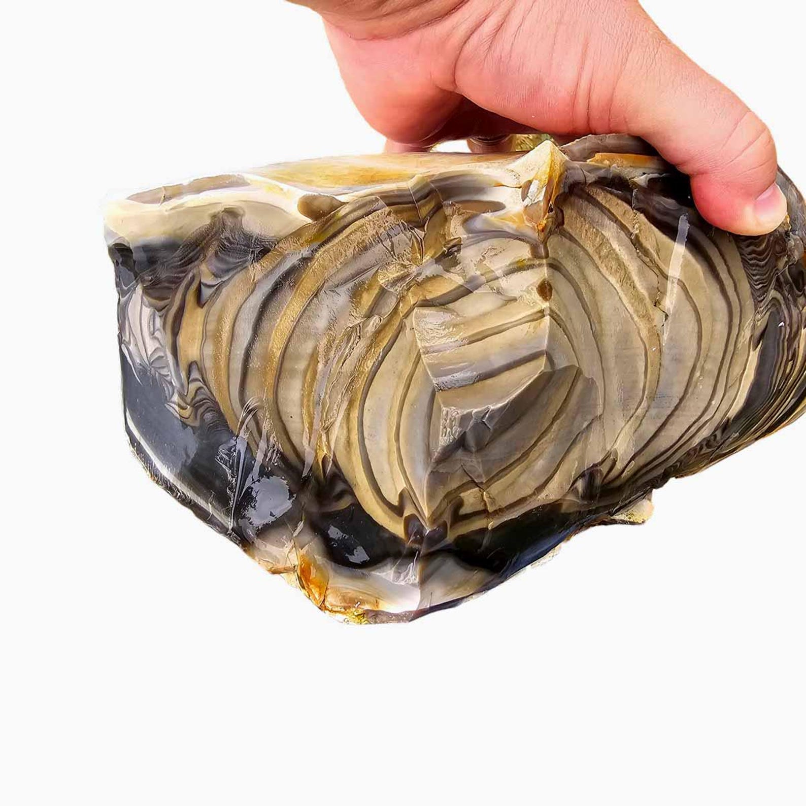 RARE Polish Flint Orbicular Lapidary Rough Chunk - Etsy