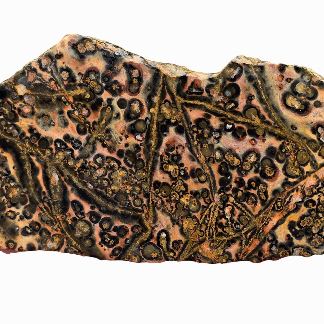 Leopard Skin Rhyolite Slab – Spotted Lapidary Stone From Mexico - Etsy