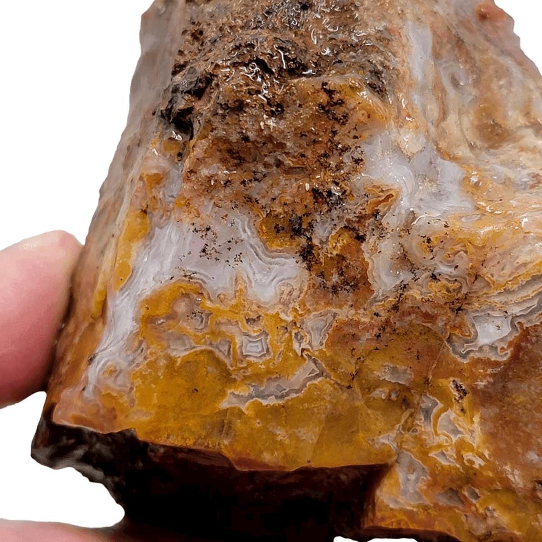 Agua Nueva Agate New Water Agate Rough Chunk! - Etsy