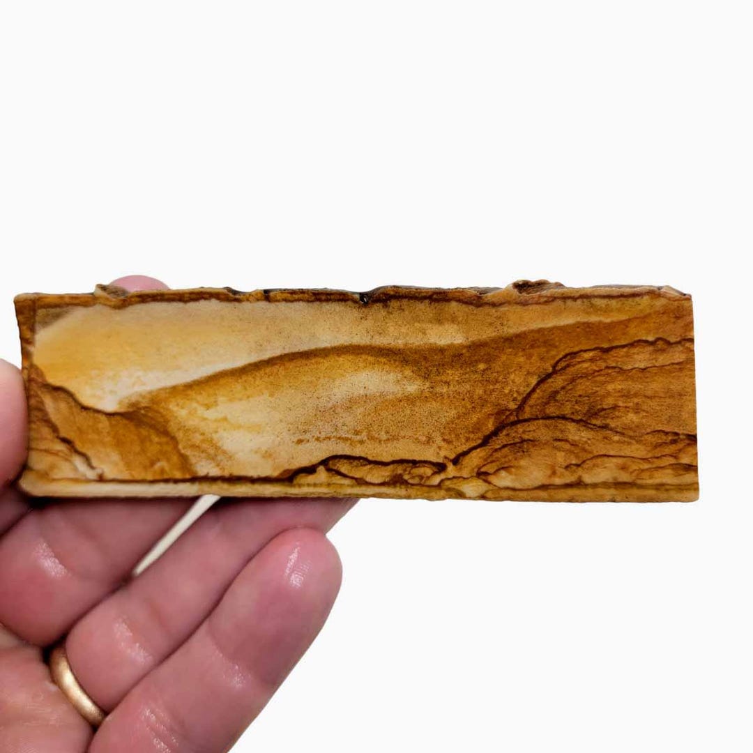 Chicken Track Jasper Slab! Lapidary Stone Slab! - Etsy