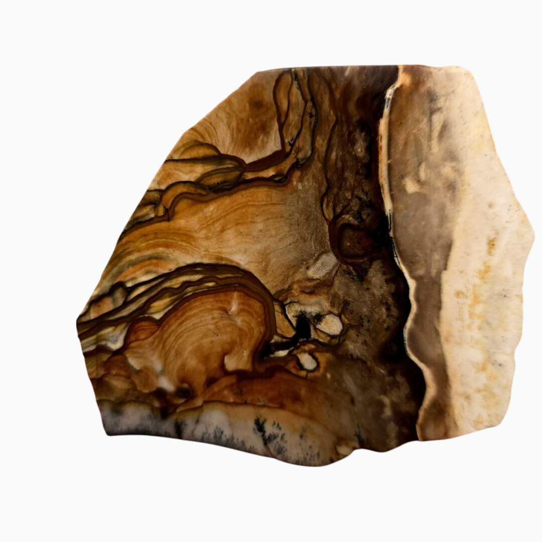 Old Stock Biggs Picture Jasper Slab Lapidary Stone Slice Cut Rock - Etsy