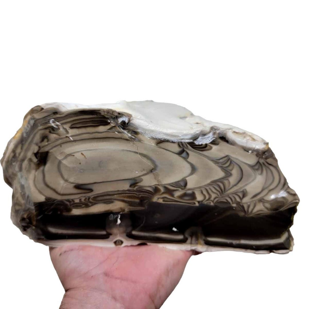 RARE Polish Flint Orbicular Rough Chunk! - Etsy