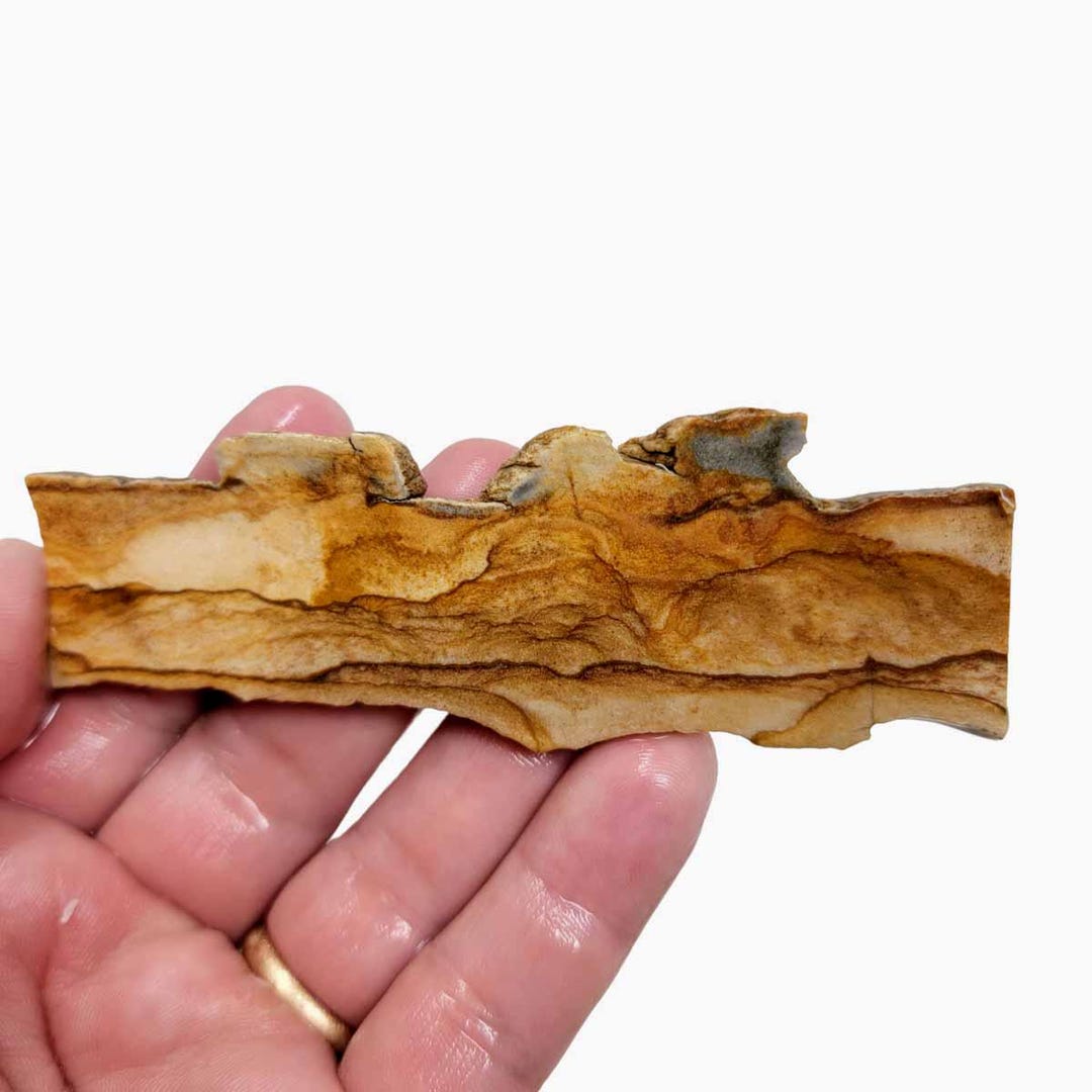 Chicken Track Jasper Slab! Lapidary Stone Slab! - Etsy