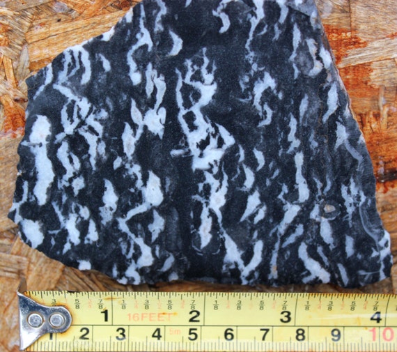 Zebra Stone Slab from Utah | Etsy