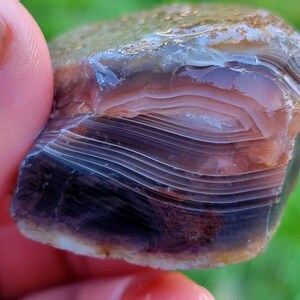 Random Pull RARE Botswana Agate Rough Old Stock Lapidary Stone ...