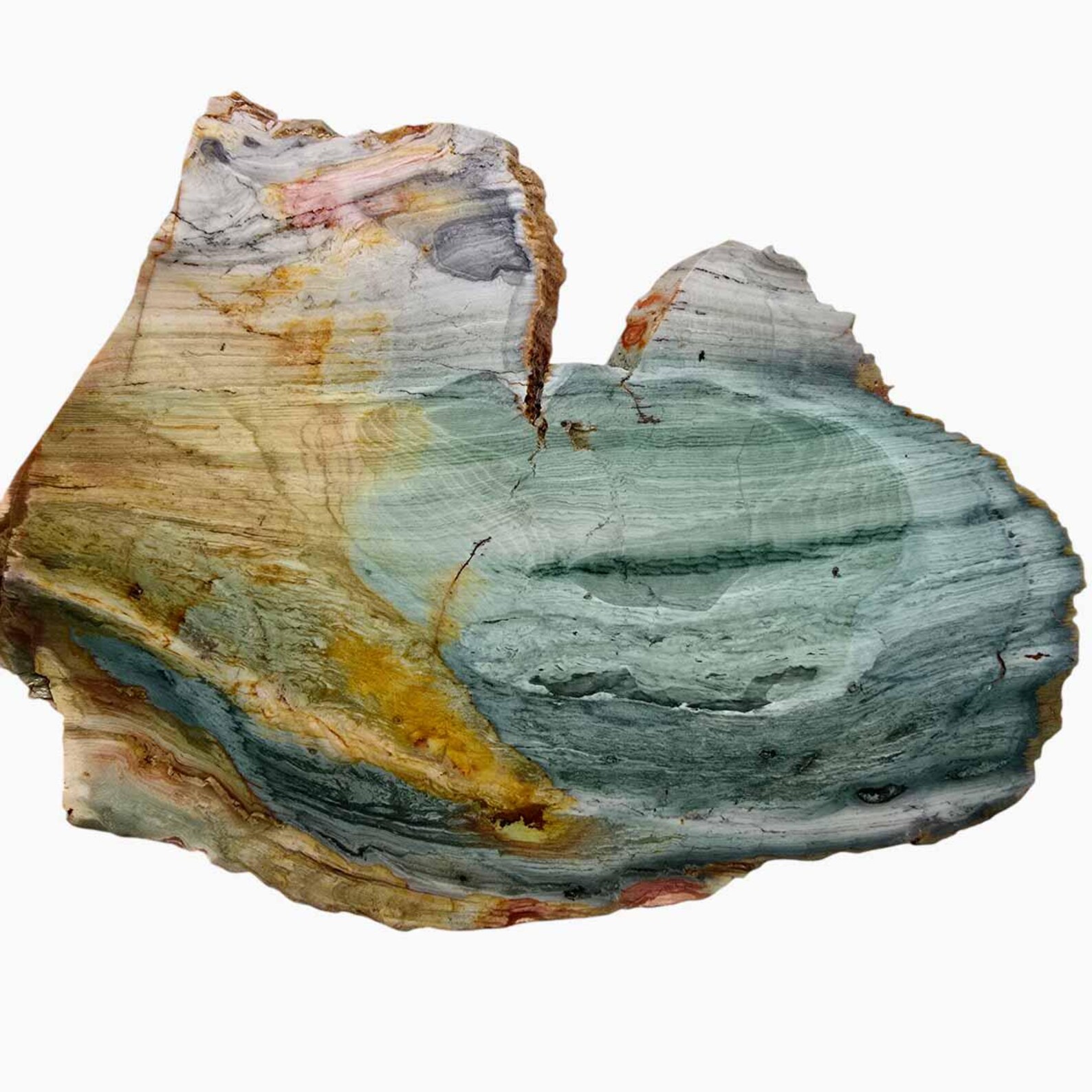 Ellipso Gary Green Larsonite Freedom Jasper Slab Lapidary Stone Slice ...