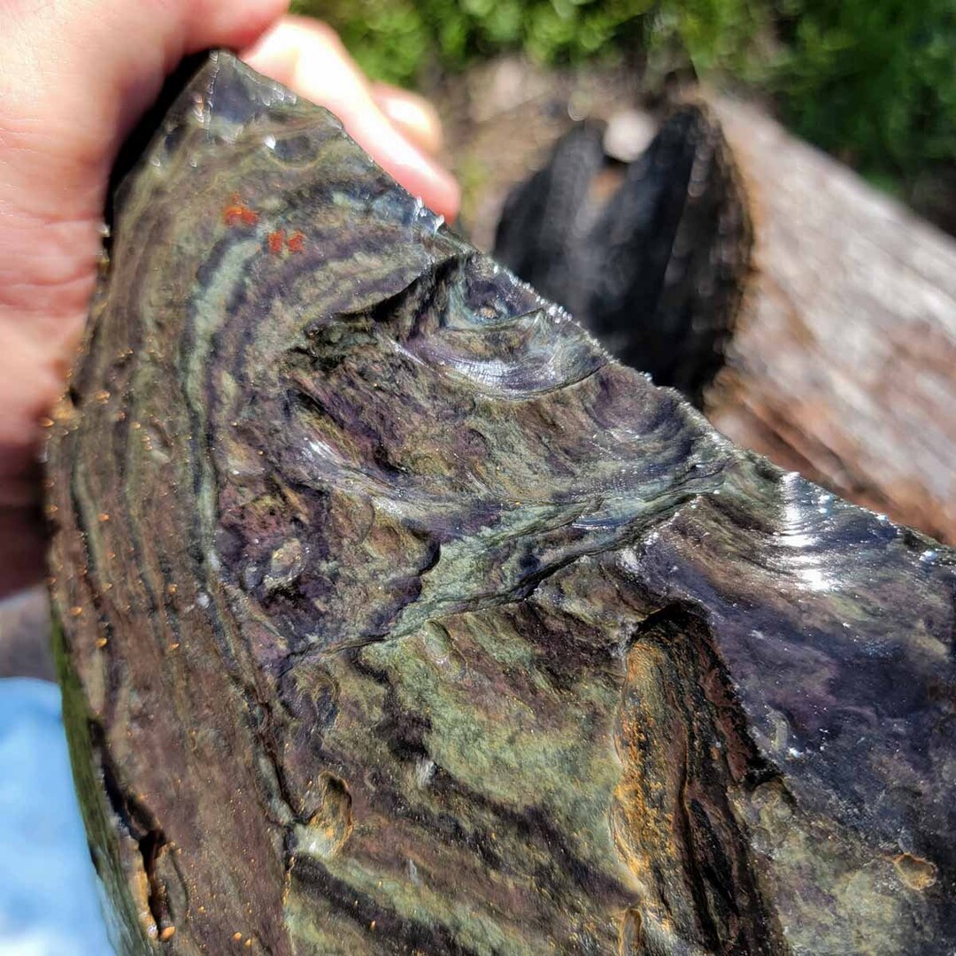 HUGE Mexican Velvet Obsidian Rough Chunk - Etsy