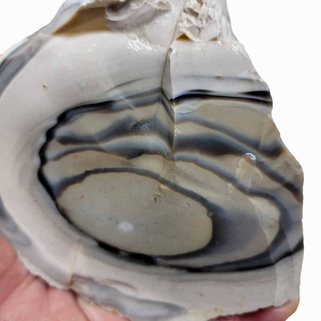 RARE Polish Flint Orbicular Rough Chunk - Etsy