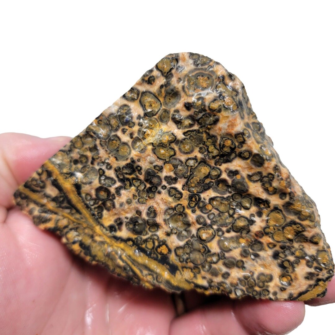 Leopard Skin Rhyolite Rough Chunk! - Etsy