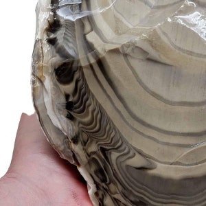 RARE Polish Flint Orbicular Rough Chunk - Etsy