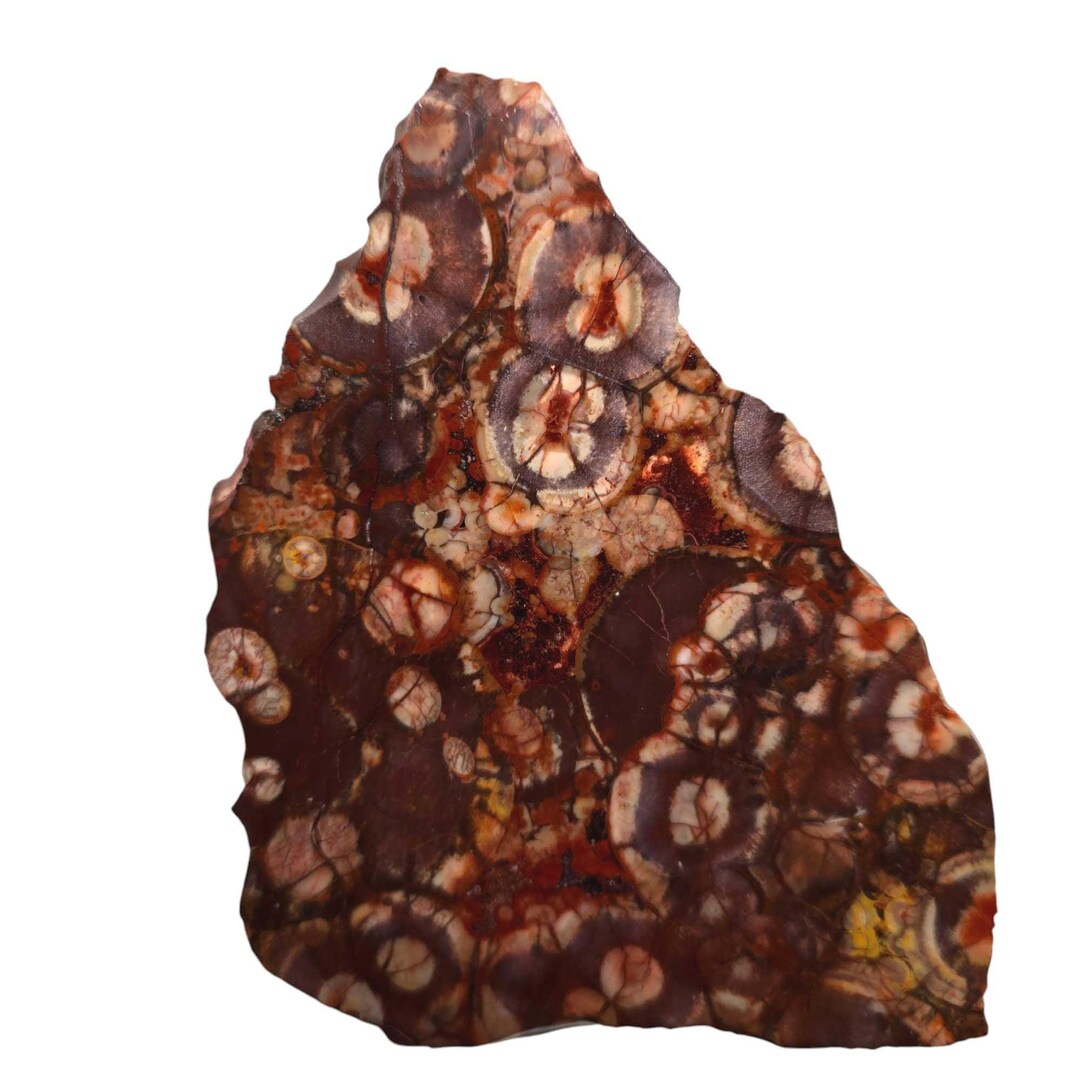 Birdseye Rhyolite Slab Lapidary Stone Slice Cut Rock - Etsy