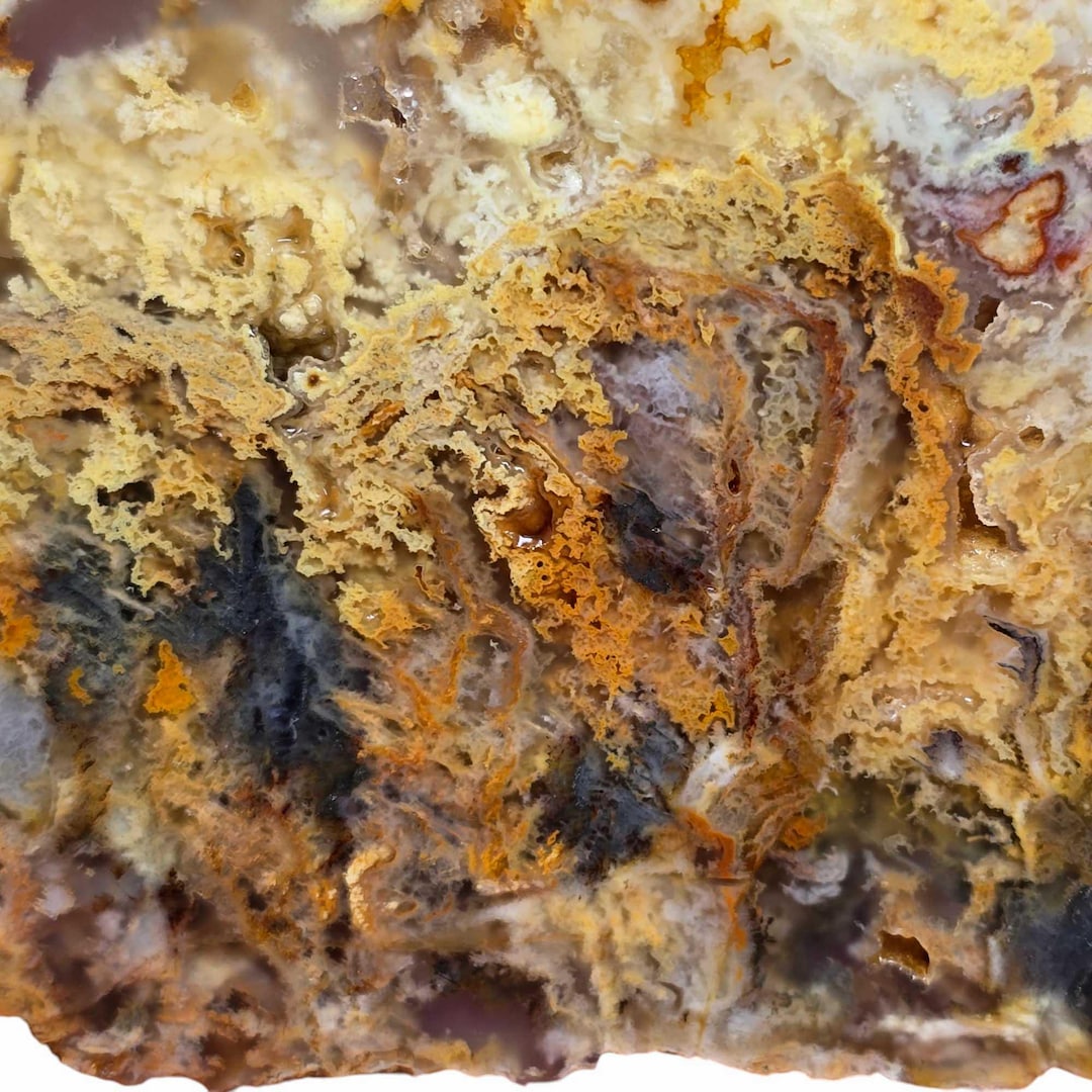 Regency Rose Plume Agate Slab Lapidary Stone Slice Cut Rock - Etsy