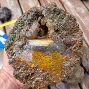 Uncut Oregon Lucky Strike Thundereggs Rough Lapidary Wholesale - Etsy