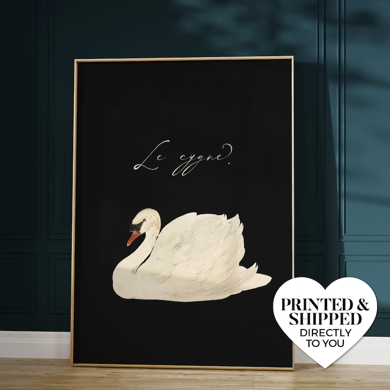Le Cygne ~ White Swan ~ Wall Art Matte Print | Classical Moody Dark ...