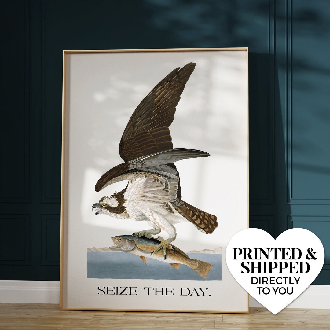Seize the Day ~ Fish Hawk / Osprey ~ Wall Art Matte Print | Classical ...