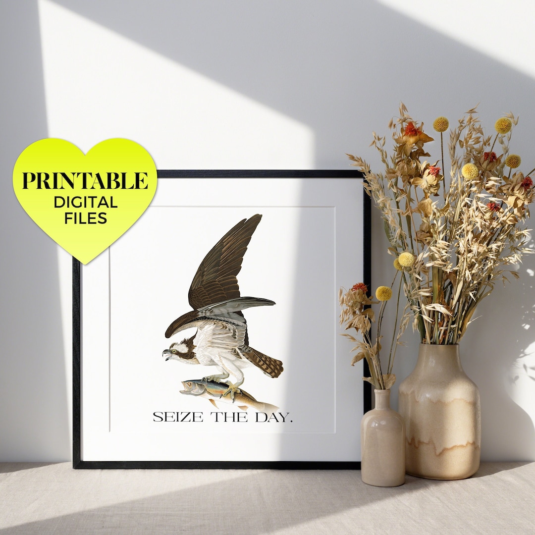 Seize the Day ~ Fish Hawk / Osprey ~ Printable Wall Art | Classical ...