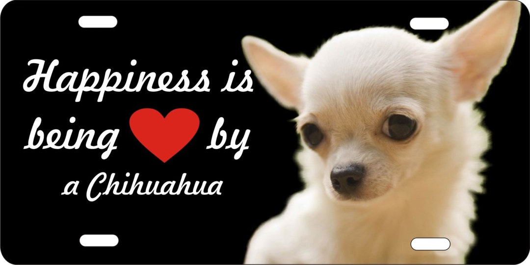 Chihuahua Personalized Novelty Front License Plate Custom Car Tag Any ...