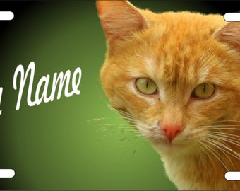 Cat Lover Personalized Custom Novelty Vanity Front License Plate - Etsy