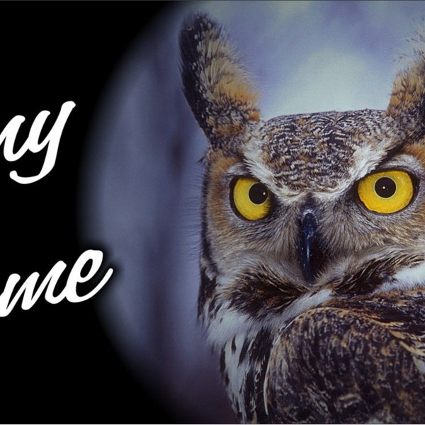 Owl Plate Decorative - Etsy