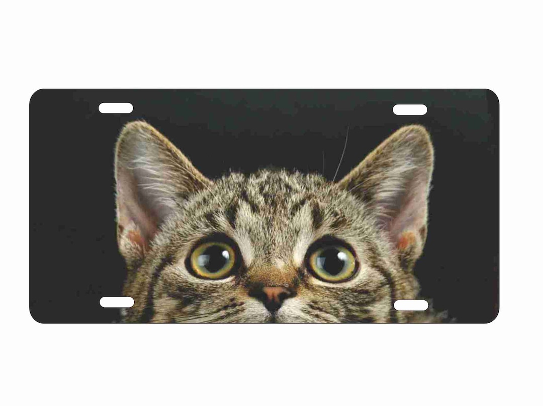 Cat Peeking Novelty Front License Plate Cats Eyes Decorative Custom ...