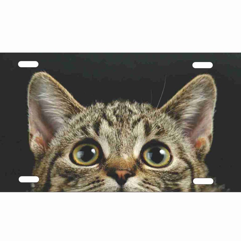 Cat Decorative Plate - Etsy