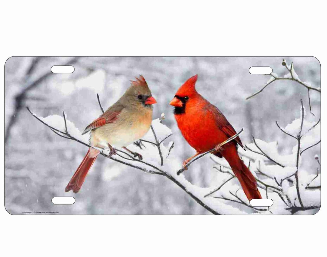 Snowbirds Cardinal Couple Personalized Novelty Front License Plate ...