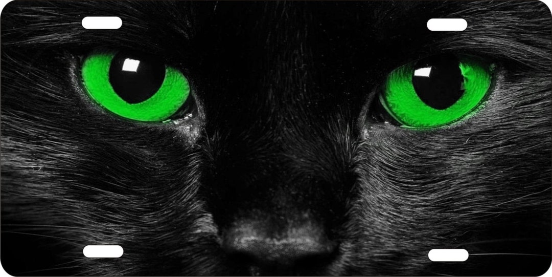 Green Cat Eyes License Plate - Personalized Custom Car Tag - Etsy
