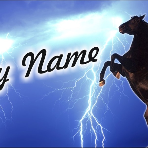 Decorative License Plates for Front of Car - Etsy