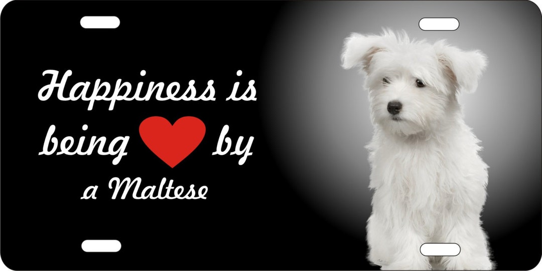 Maltese Personalized Novelty License Plate Custom Car Tag Any Dog or ...
