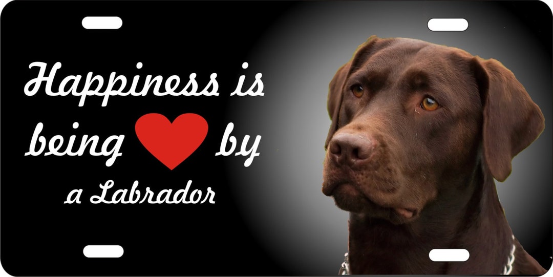 Chocolate Labrador License Plate - Personalized Car Tag - Etsy