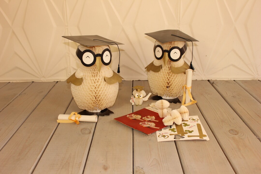 Vintage Honeycomb Graduation Owl Set of 6 Large Tissue Paper Party New ...