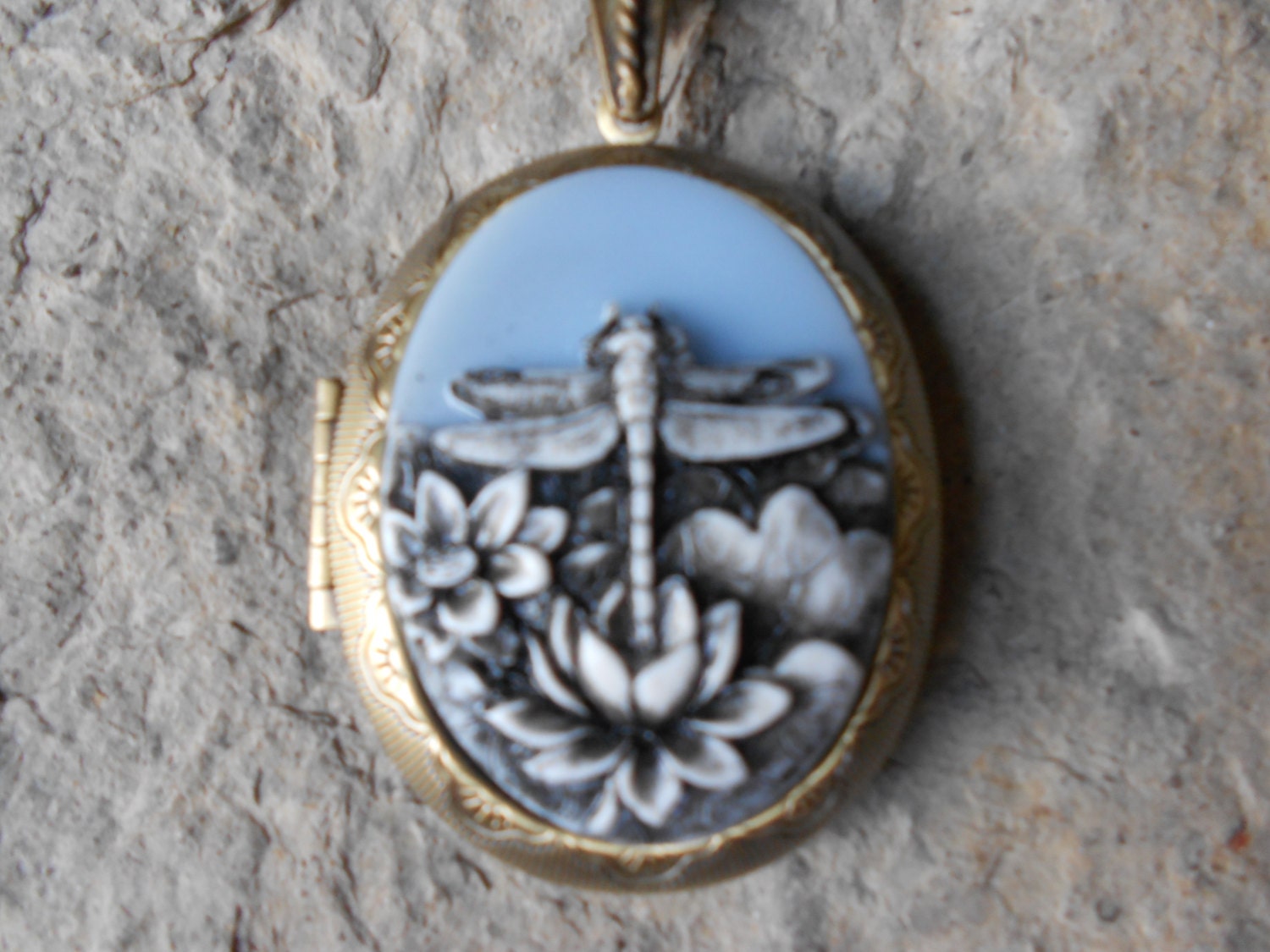 BRONZE Locketstunning Dragonfly Cameo hand Painted Locket - Etsy