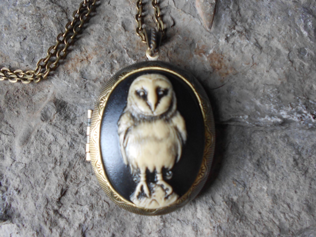 BRONZE LOCKET - Hand Painted Spooky Barn Owl Pendant Locket-- Halloween ...