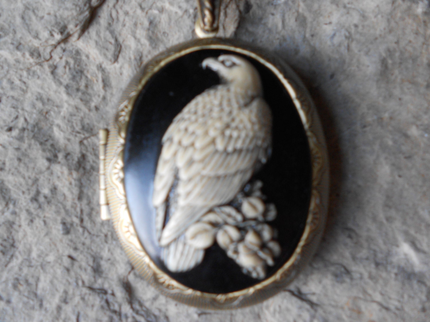 Lockethand Painted American Bald Eagle Pendant Lockets - Etsy