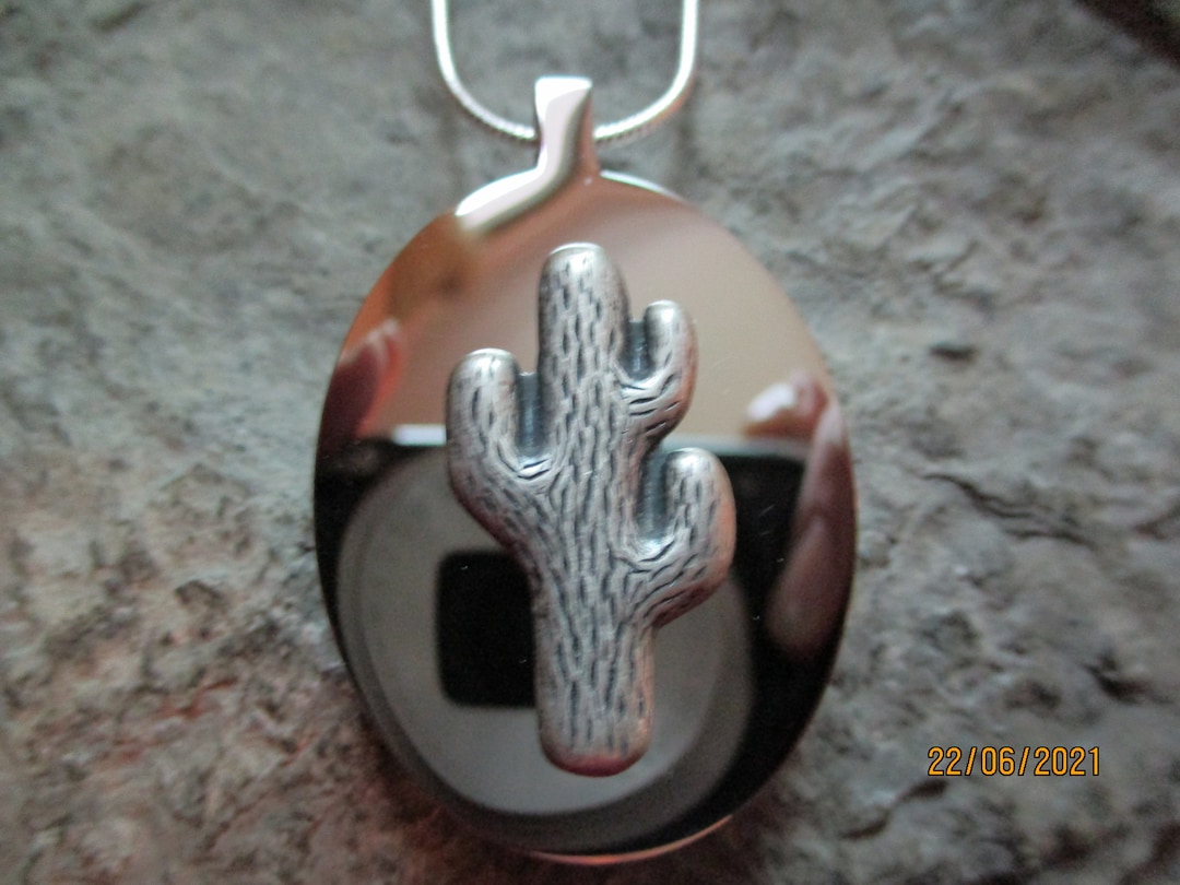 Cactus Stainless Steel Urn Necklace - Ashes - Lock of Hair - Memorial ...