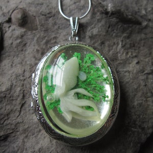 Choose White or Blue - Goldfish - Koi Silver Plated Cameo Locket - Real ...