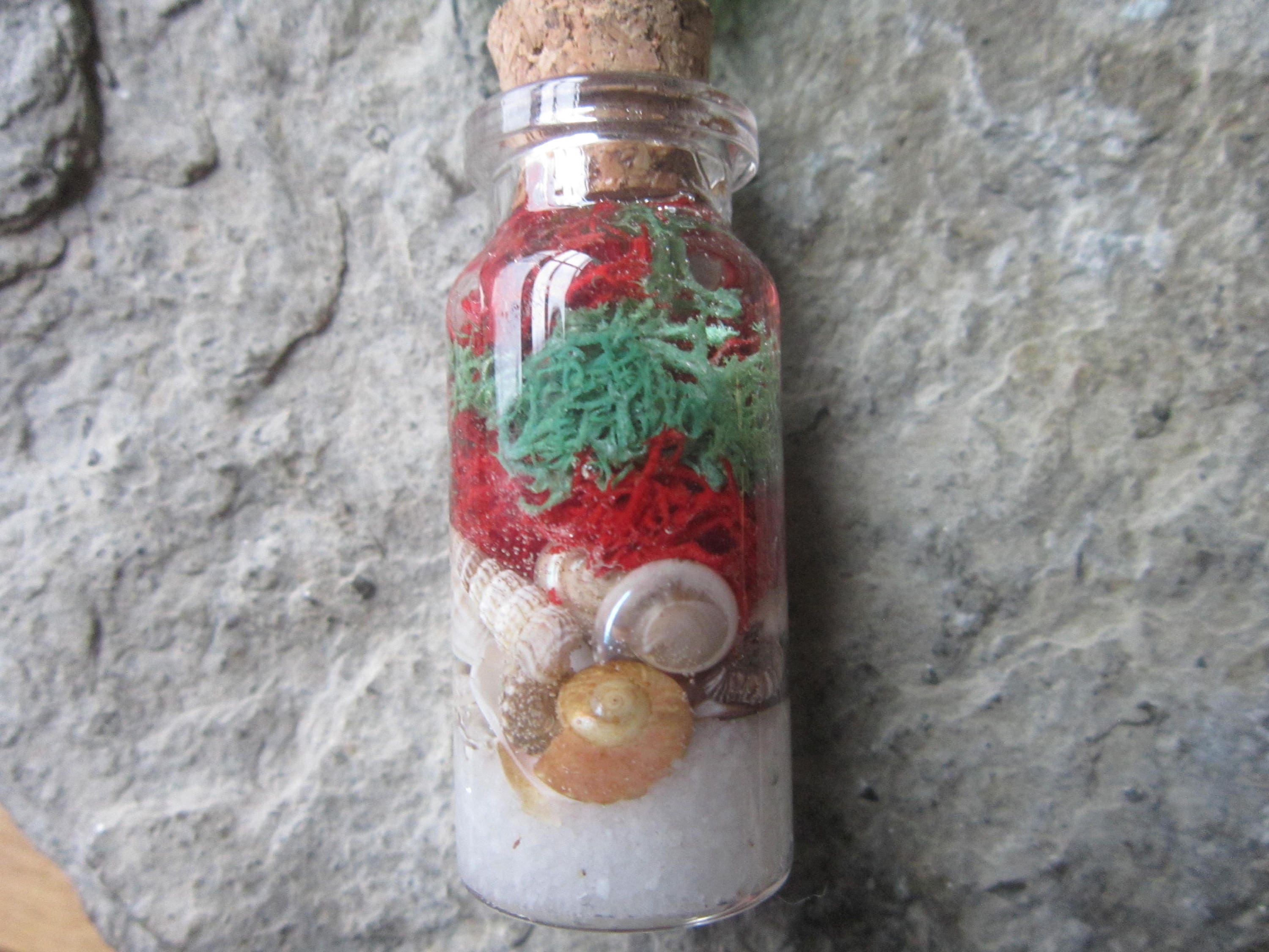 2 in 1 Ornament and Necklace - Christmas at the Beach, Real Sand ...