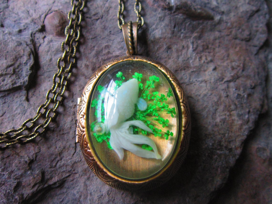 Choose Blue or White Goldfish Koi Bronze Cameo Locket - Etsy