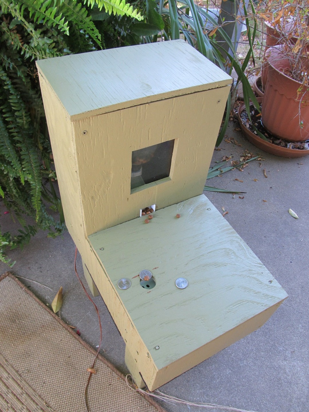 Crow Box Vending Machine Kit * Crows Bring You MONEY * Study Crows ...