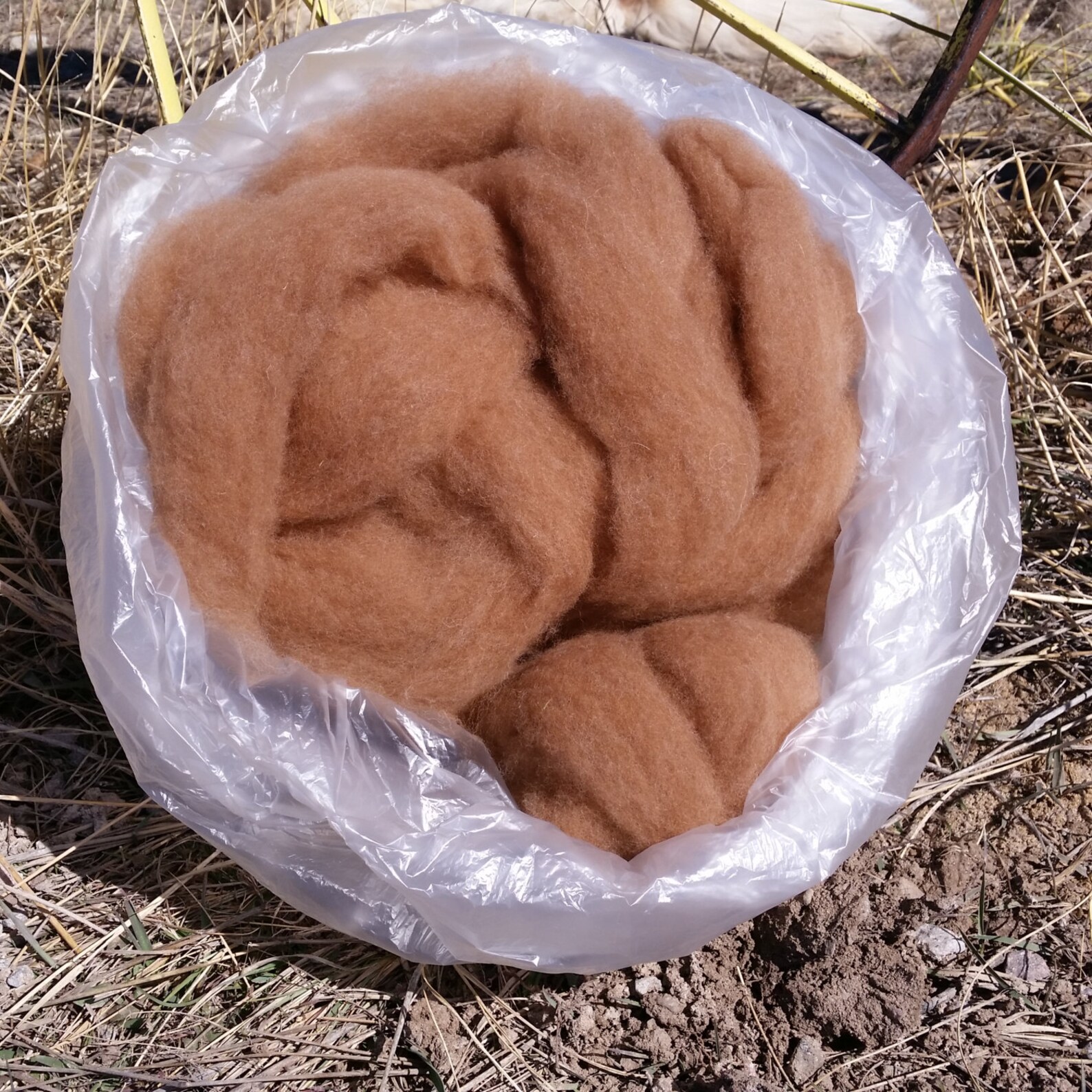 Alpaca Roving Brown Medium Fawn Natural and Undyed Spinning - Etsy