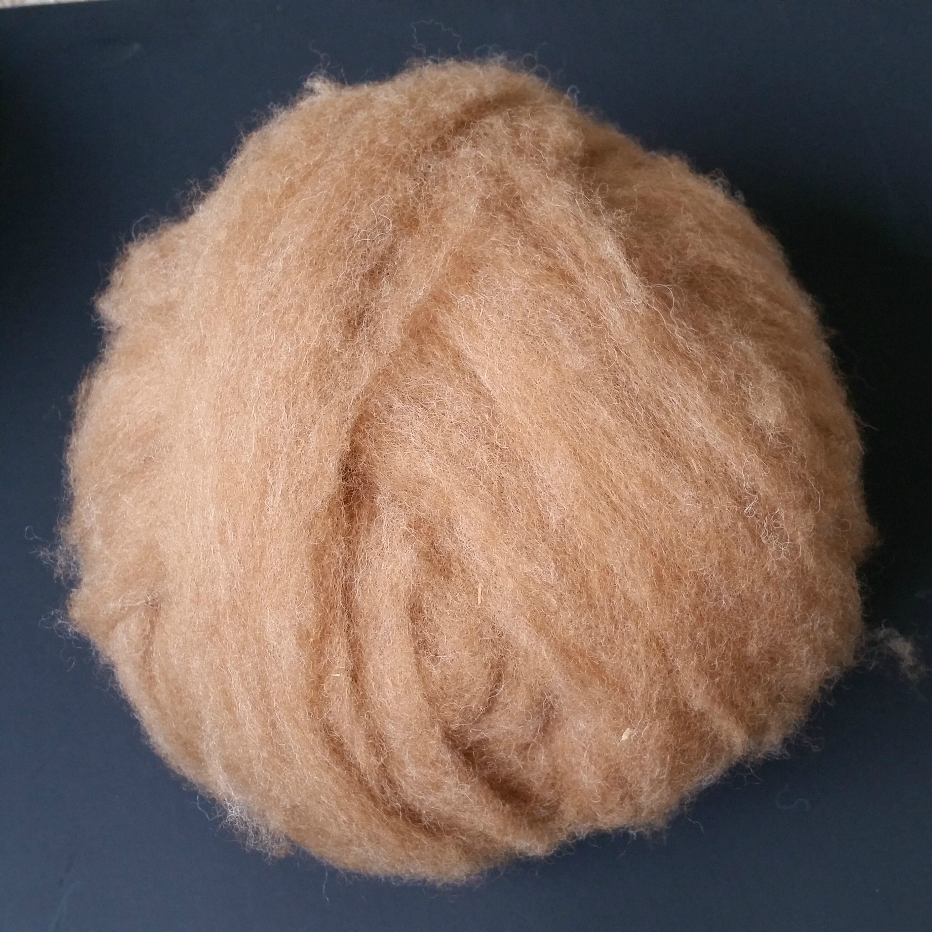Alpaca Roving Brown Medium Fawn Natural and Undyed Spinning - Etsy
