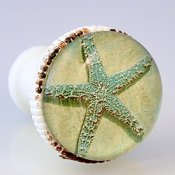 Starfish Knobs - Etsy