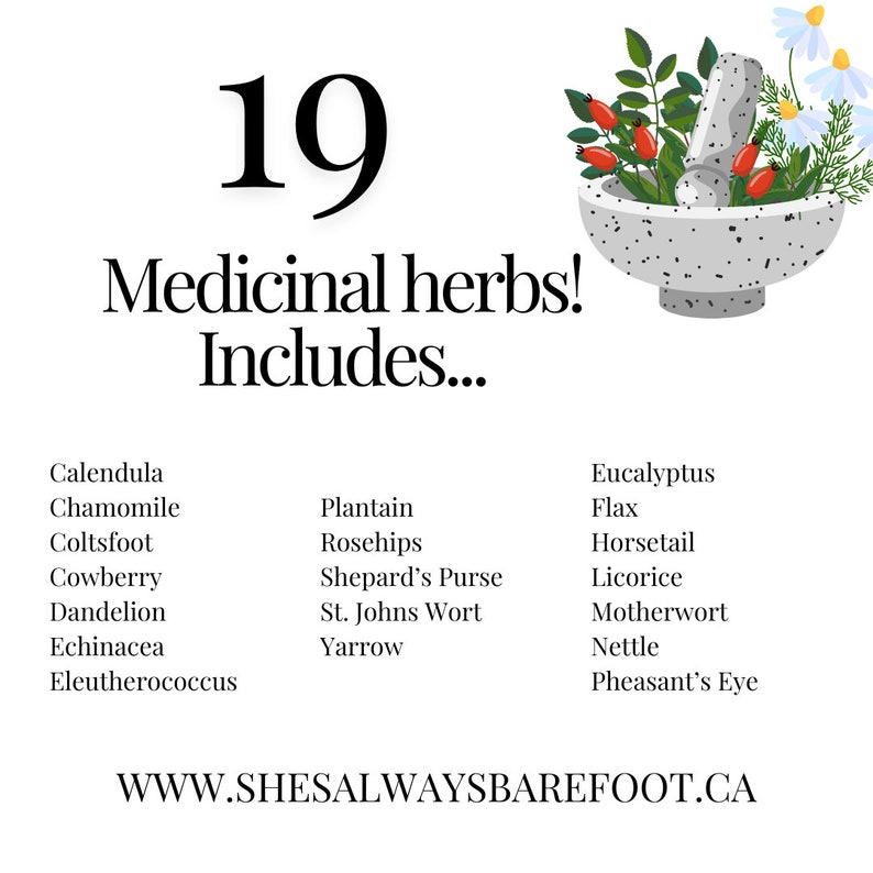 Medicinal Plant Coloring & Trace Writing Pages - Etsy